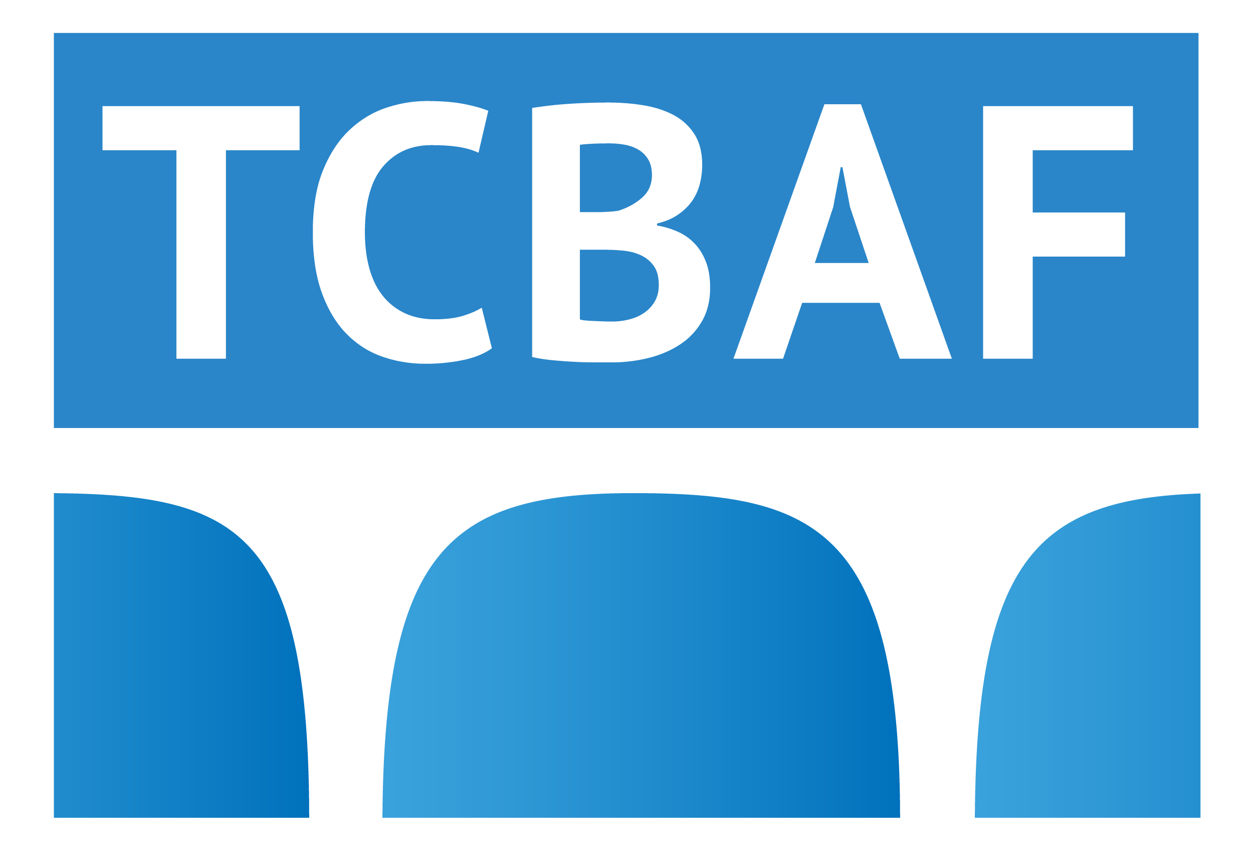 S2E Transformation | Twin Cities Business Architecture Forum (TCBAF ... S2E Transformation | Twin Cities Business Architecture Forum (TCBAF ...